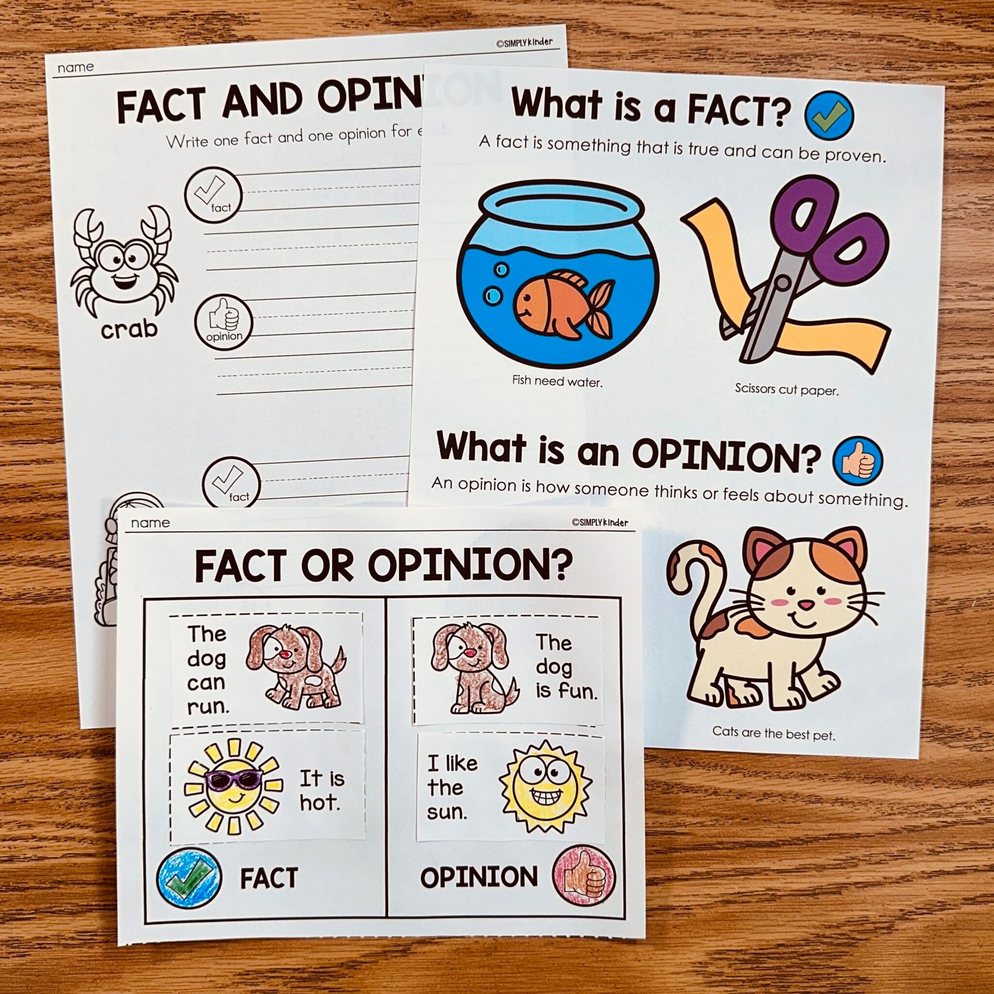Yes Day Classroom Activity Set: Fact & Opinion - Simply Kinder Plus