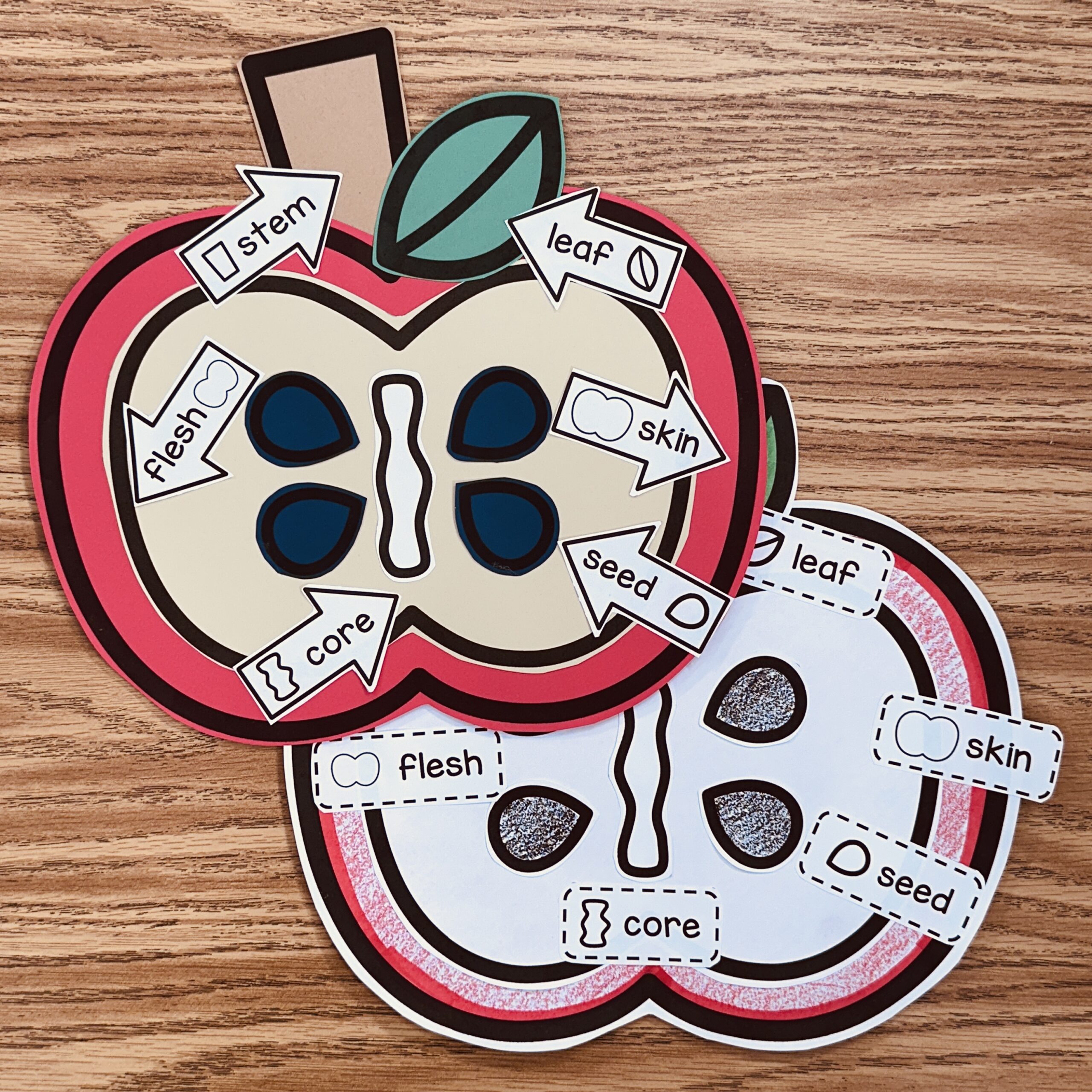 Parts of the Apple Craft - Simply Kinder + Printable Membership