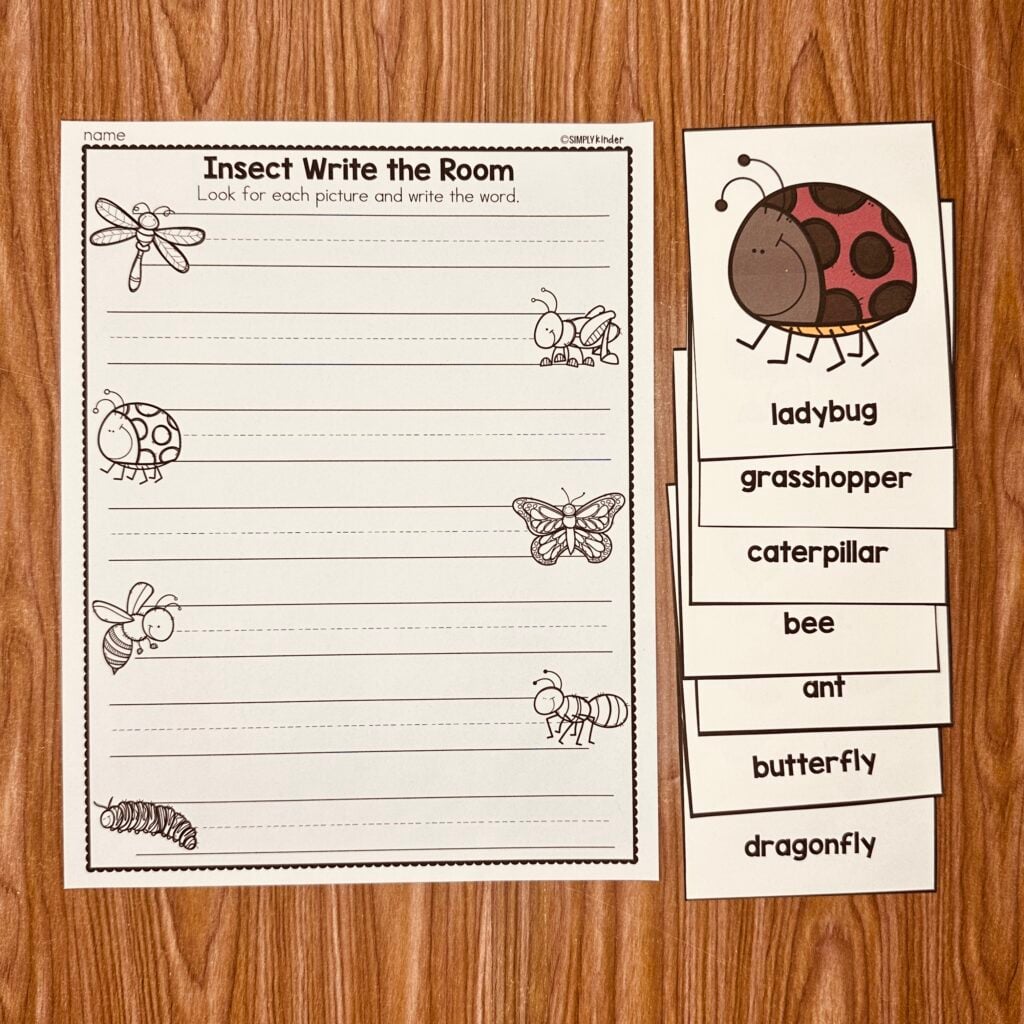 Insects Write the Room Center - Simply Kinder + Printable Membership