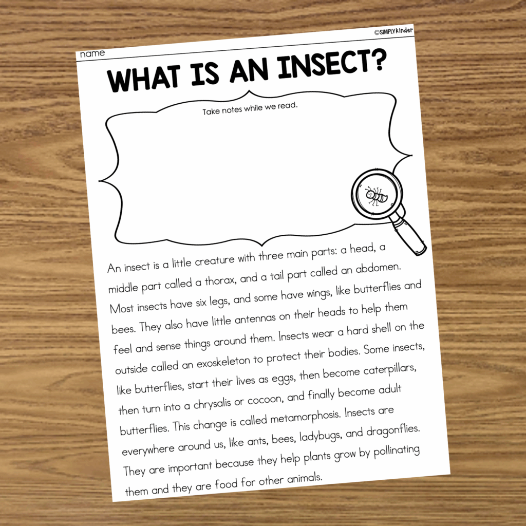 Insect Informational Passage No Prep Printables - Simply Kinder + Printable Membership