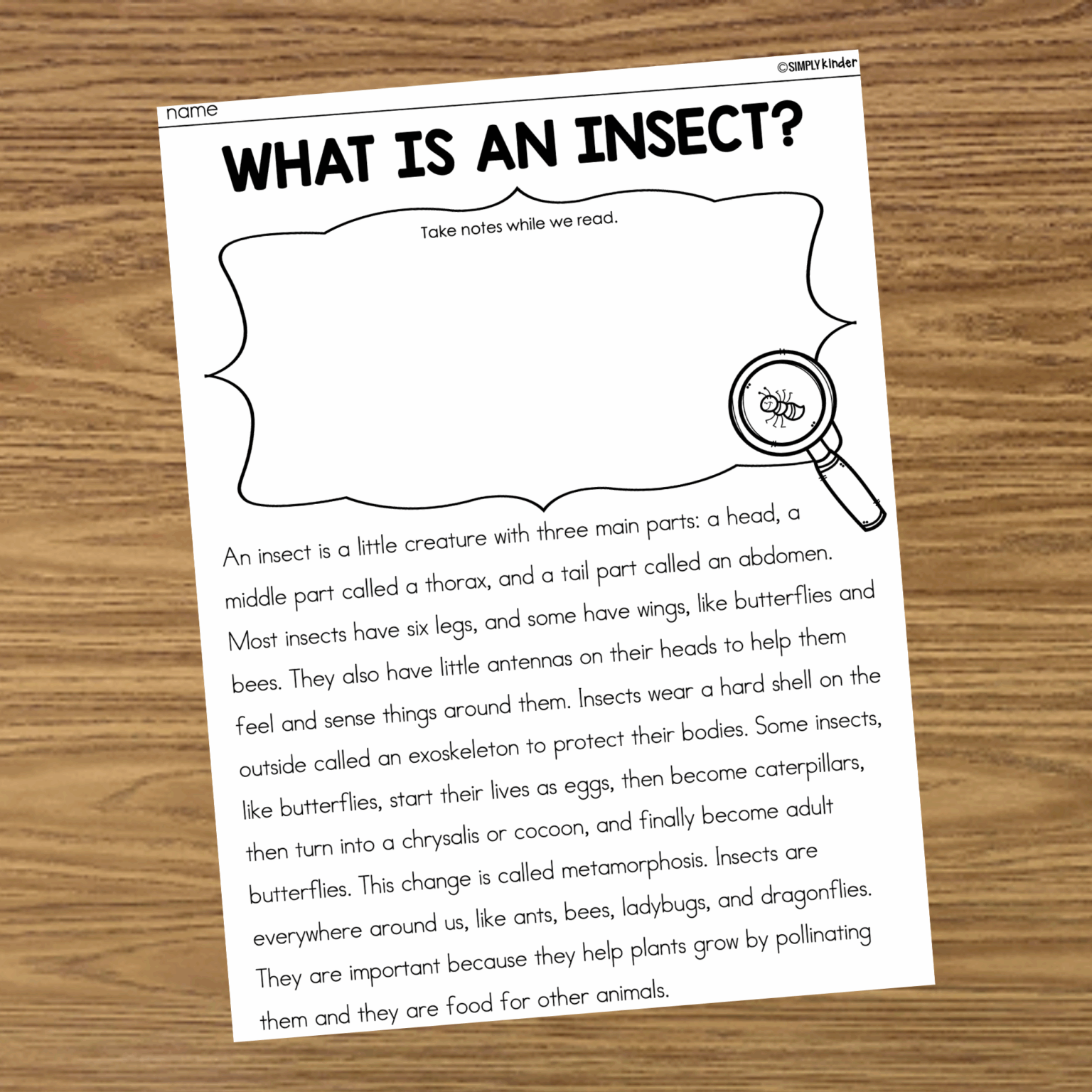 Insect Informational Passage No Prep Printables - Simply Kinder ...