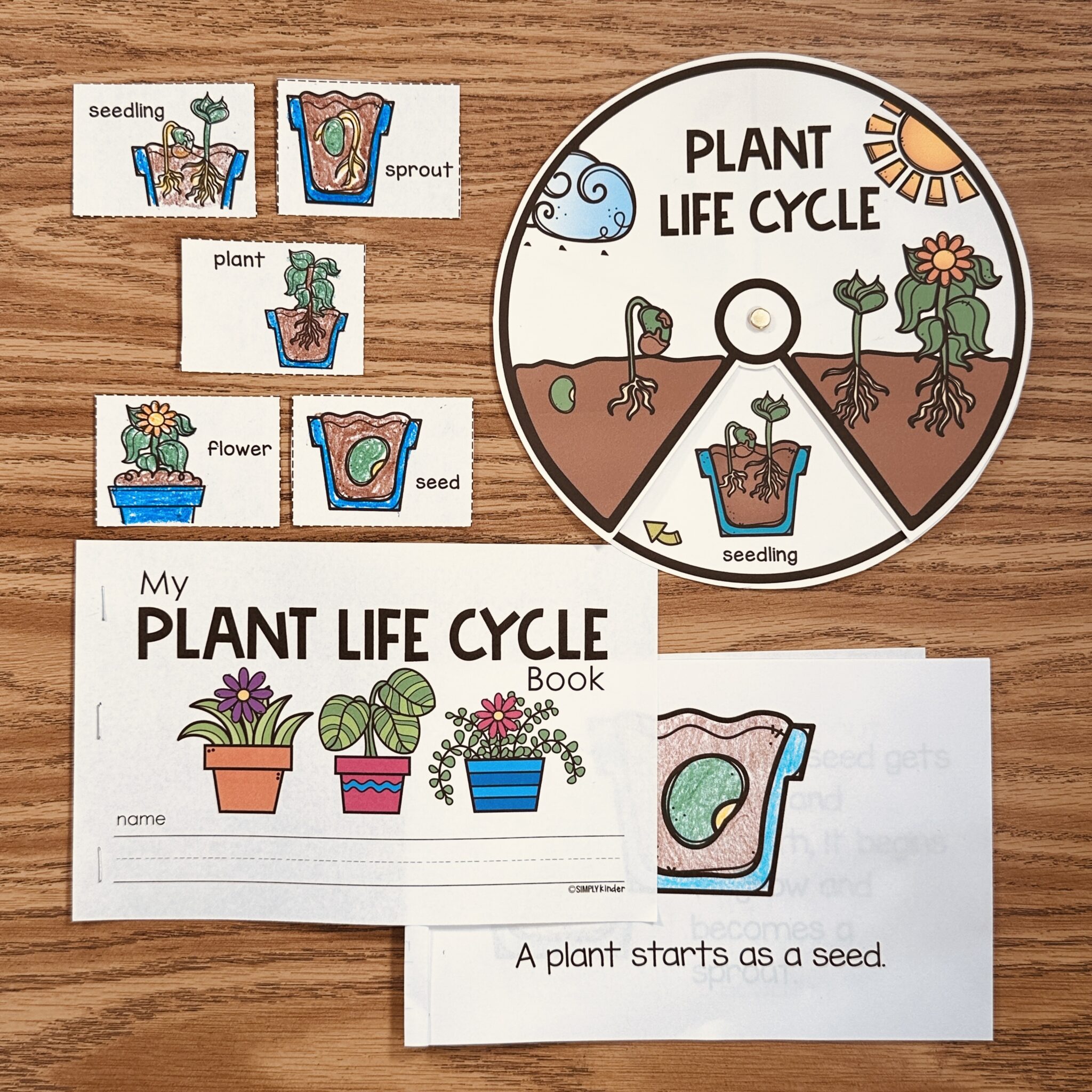 Plant Life Cycle Activities - Simply Kinder + Printable Membership
