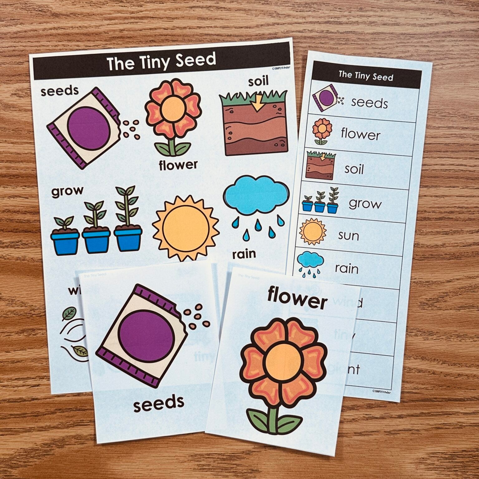 The Tiny Seed Vocabulary Activities - Simply Kinder + Printable Membership