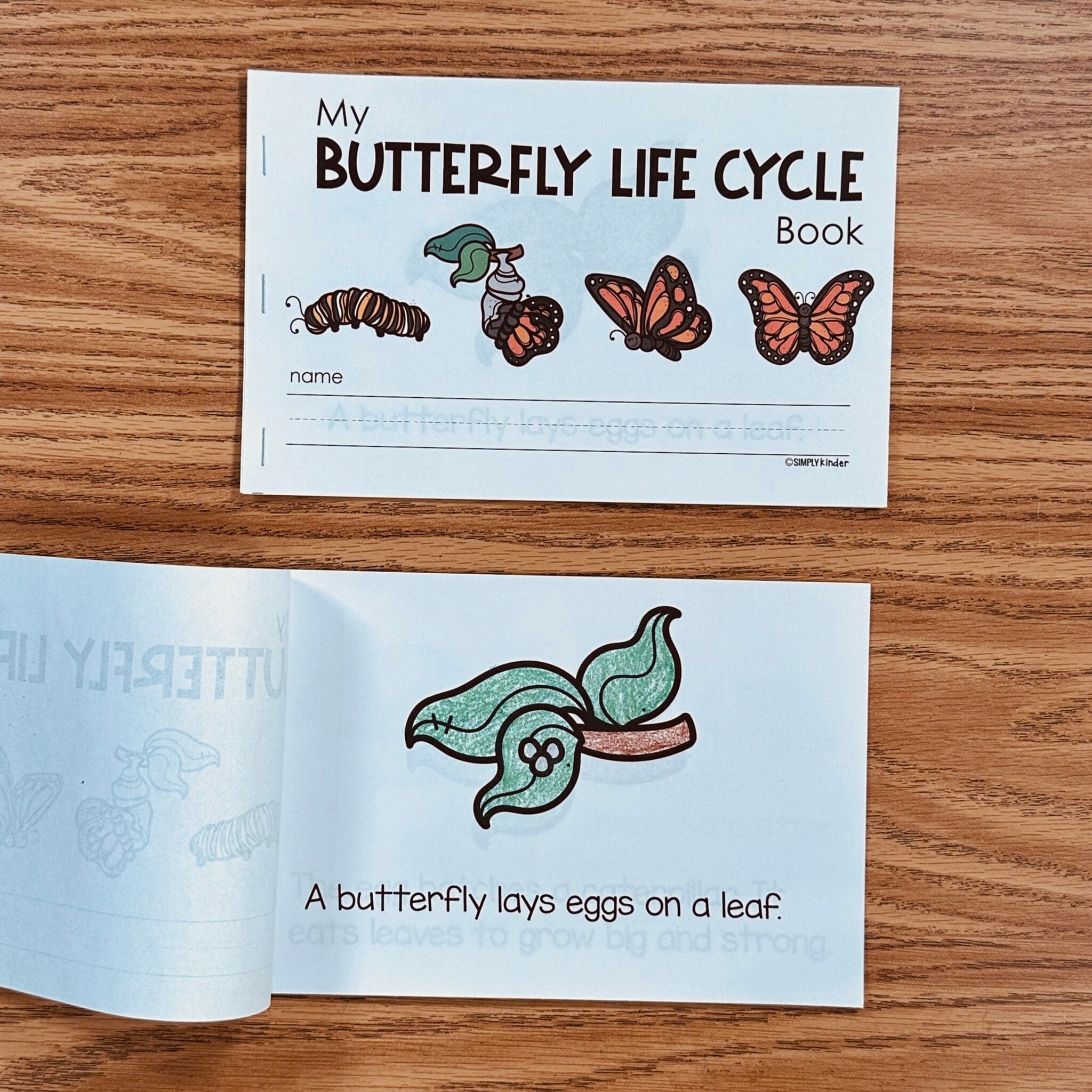 Butterfly Life Cycle Book - Simply Kinder + Printable Membership