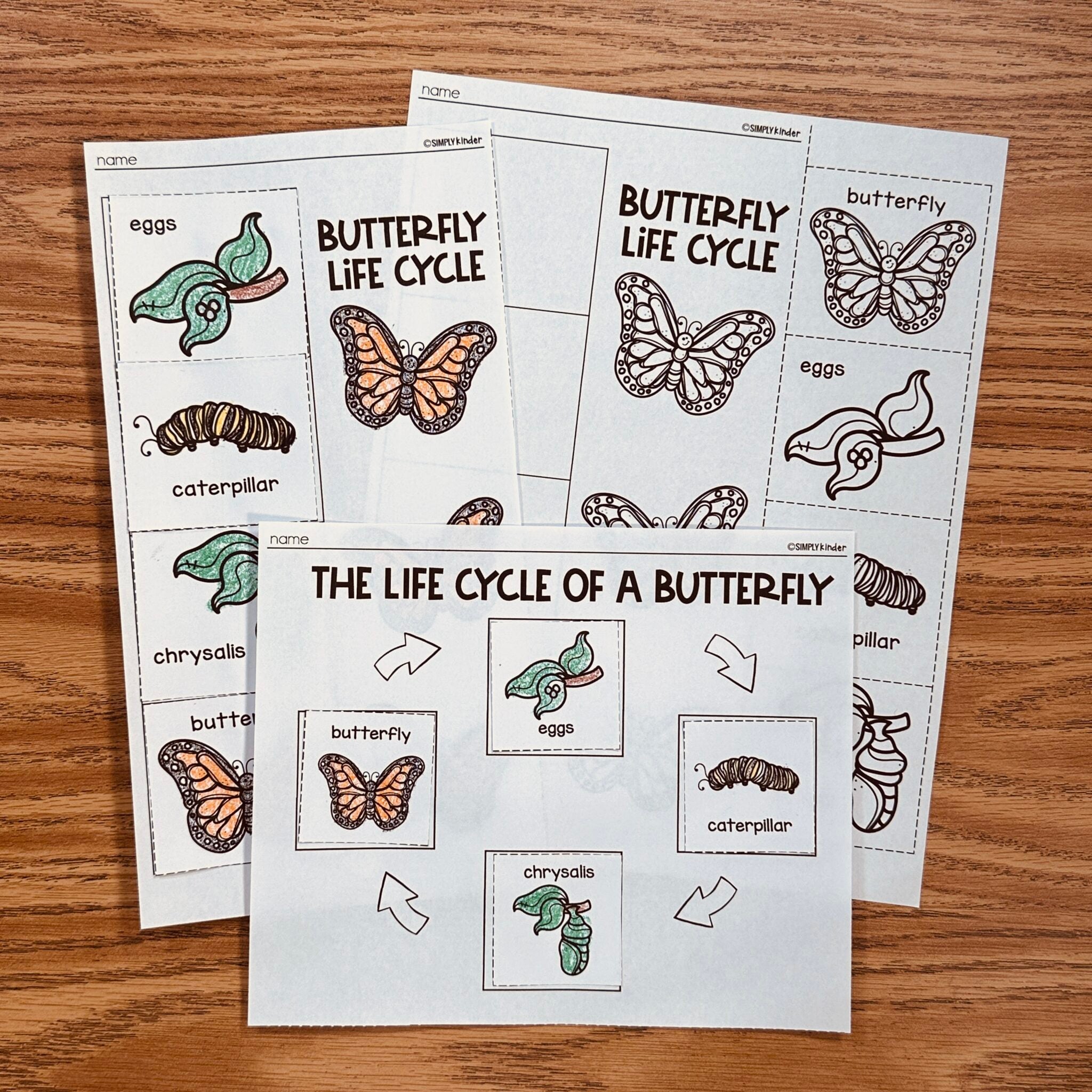 Butterfly Life Cycle Worksheets - Simply Kinder + Printable Membership