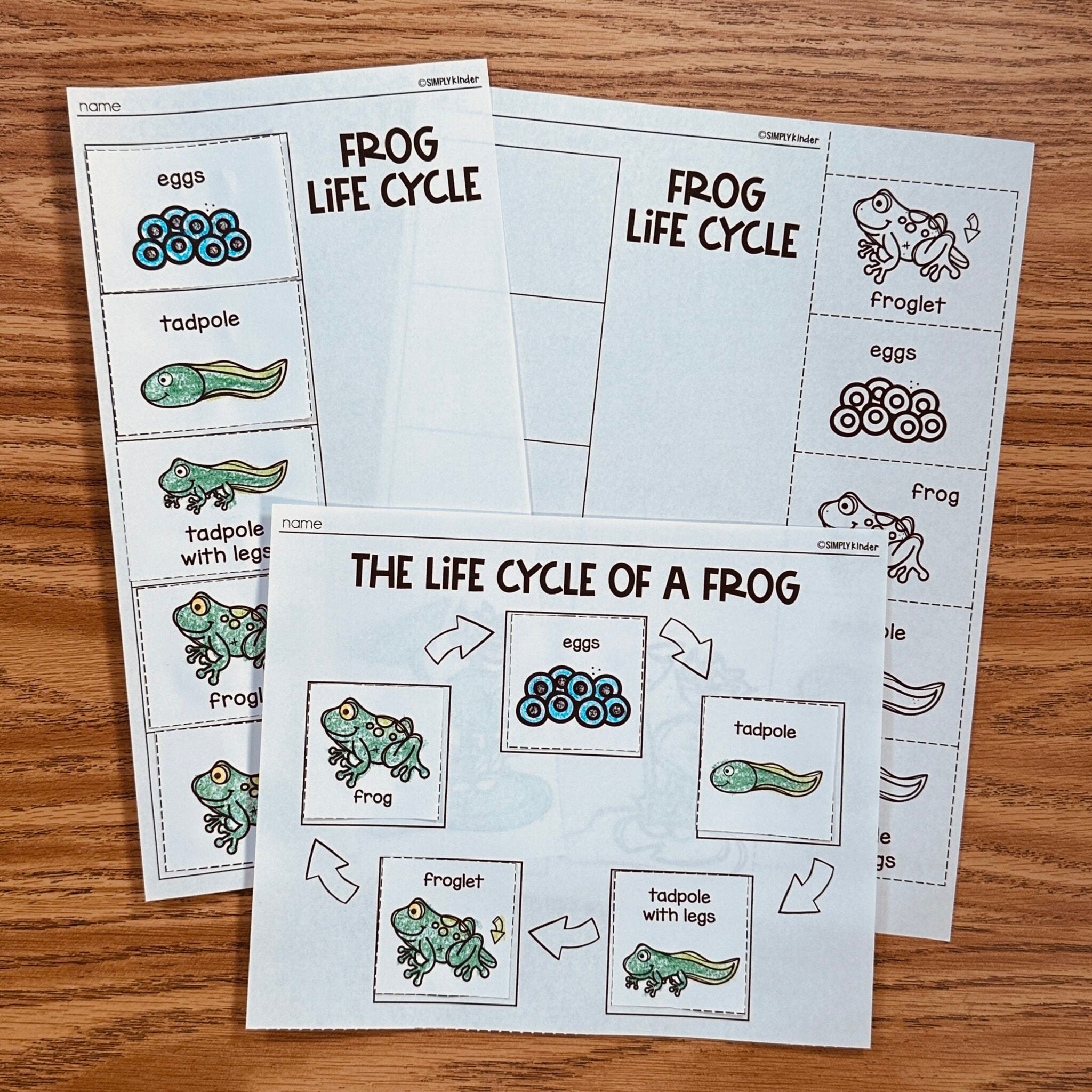 Frog Life Cycle Worksheets - Simply Kinder + Printable Membership