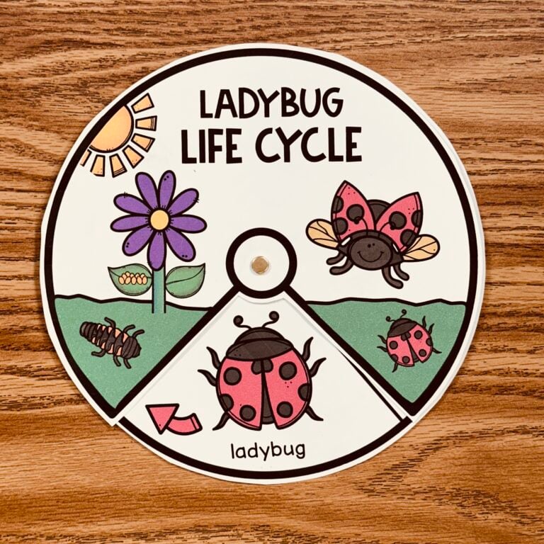 Ladybug Life Cycle Spinner - Simply Kinder + Printable Membership