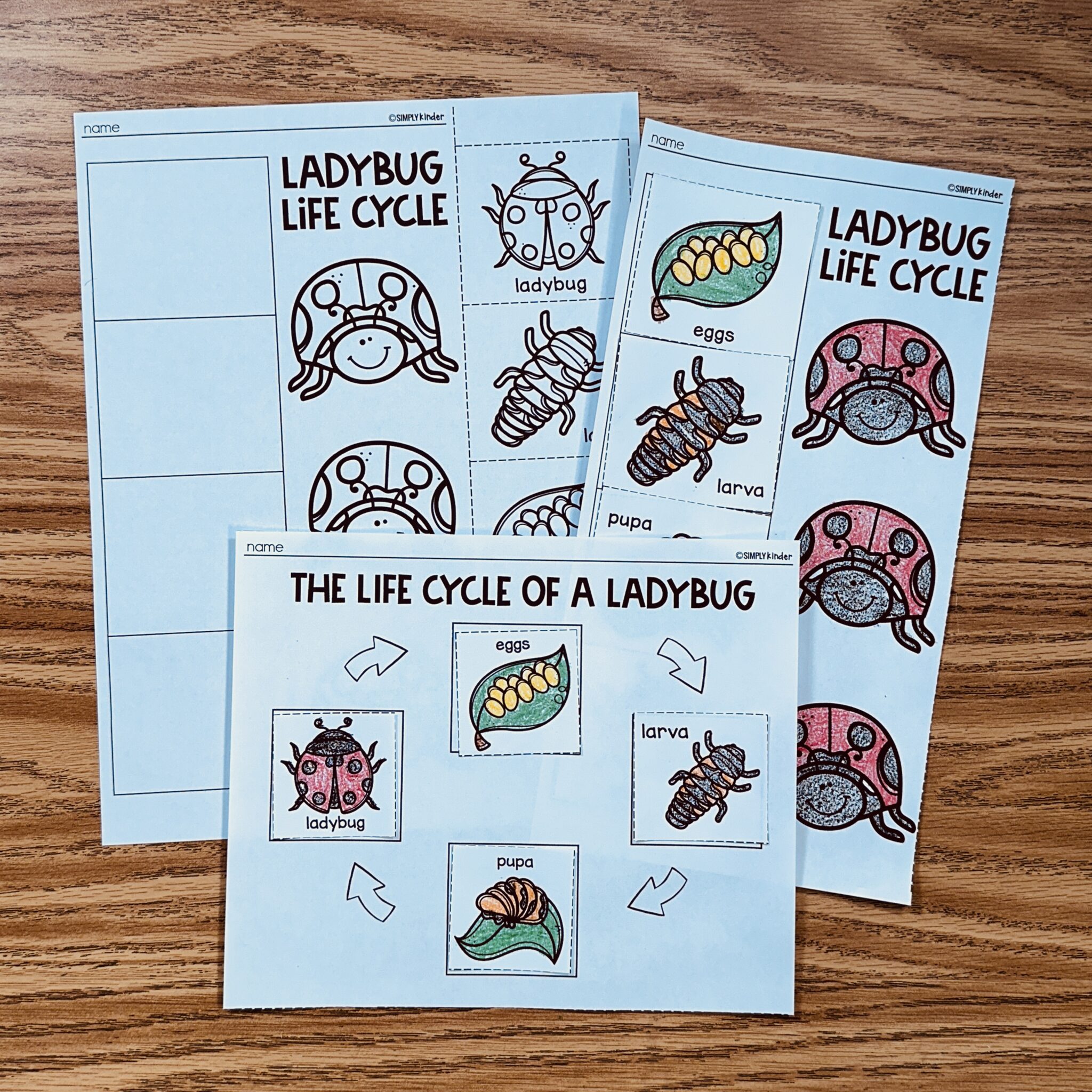 Ladybug Life Cycle Worksheets - Simply Kinder + Printable Membership