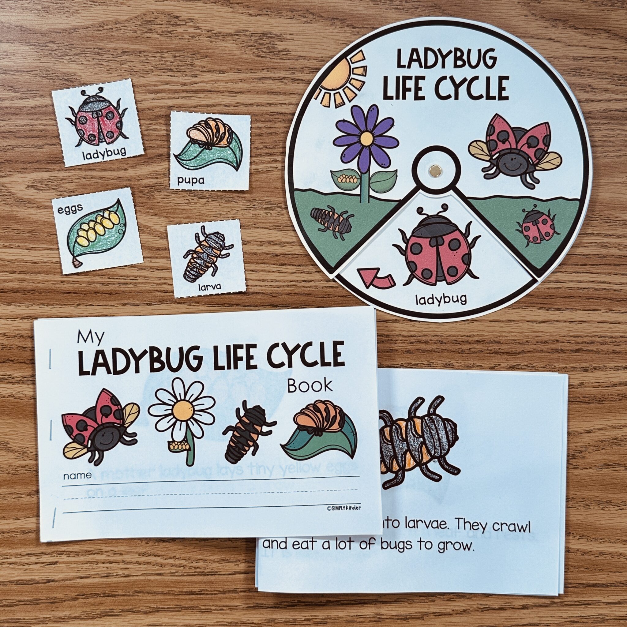 Ladybug Life Cycle Activities - Simply Kinder + Printable Membership