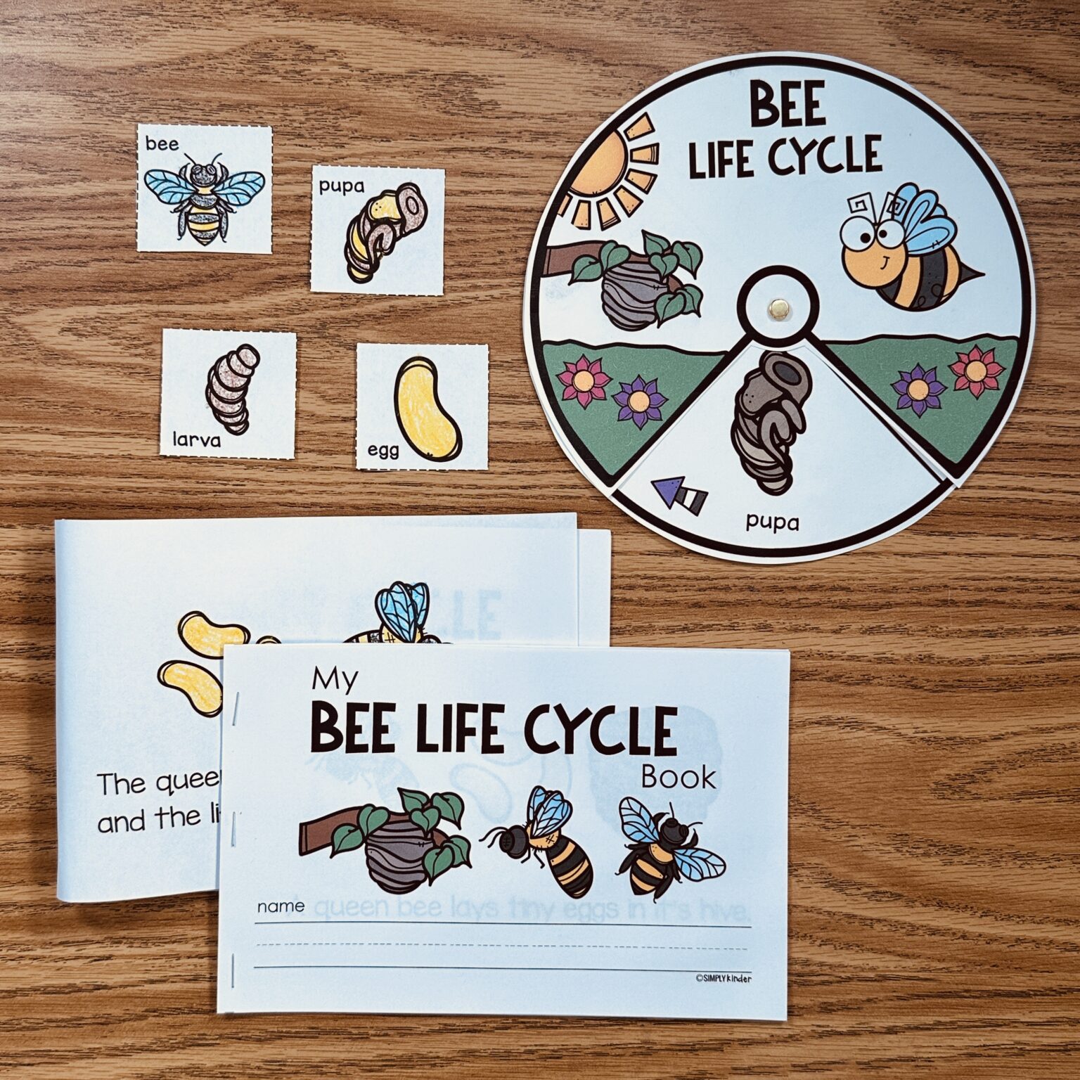 Bee Life Cycle Activities - Simply Kinder + Printable Membership