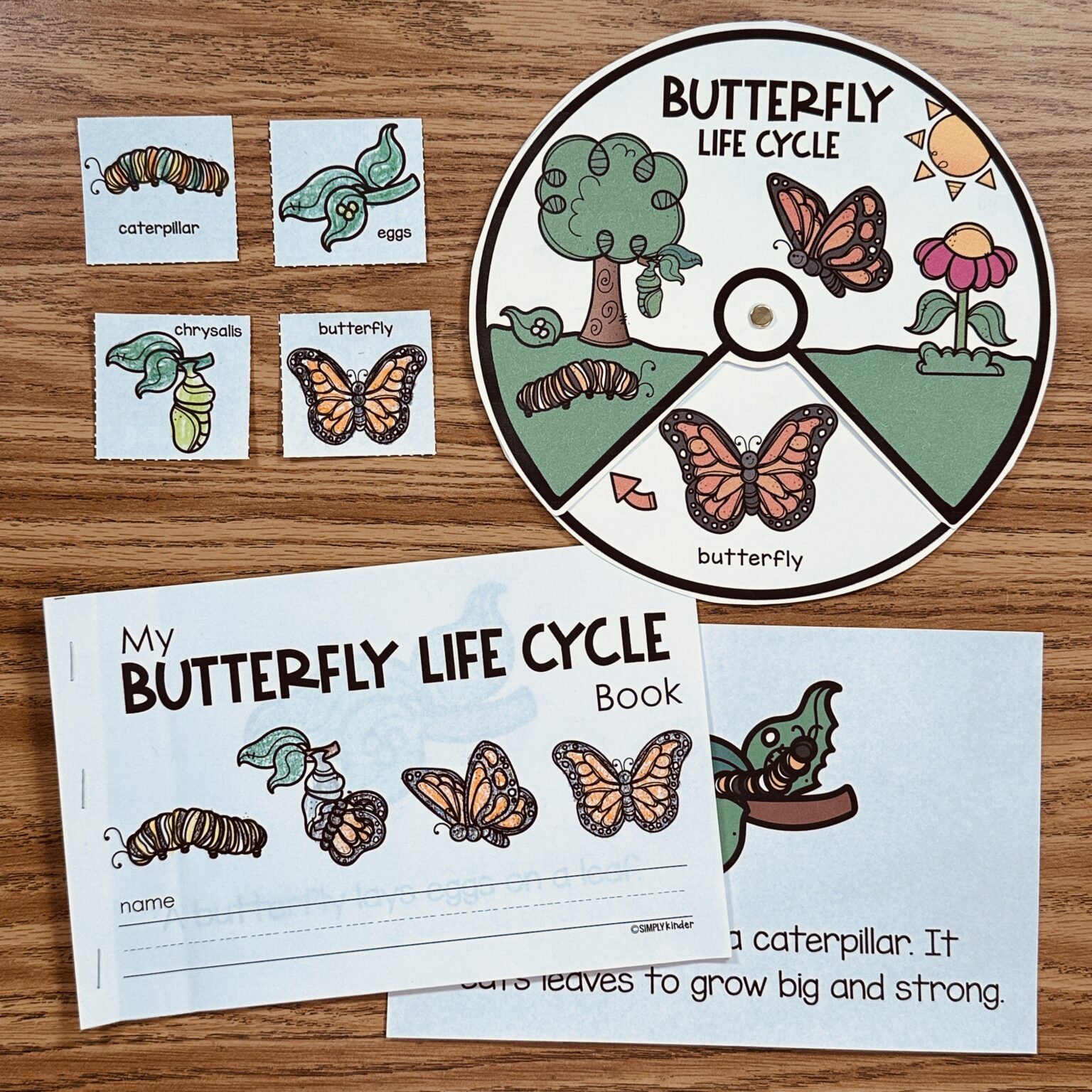 Butterfly Life Cycle Activities - Simply Kinder + Printable Membership