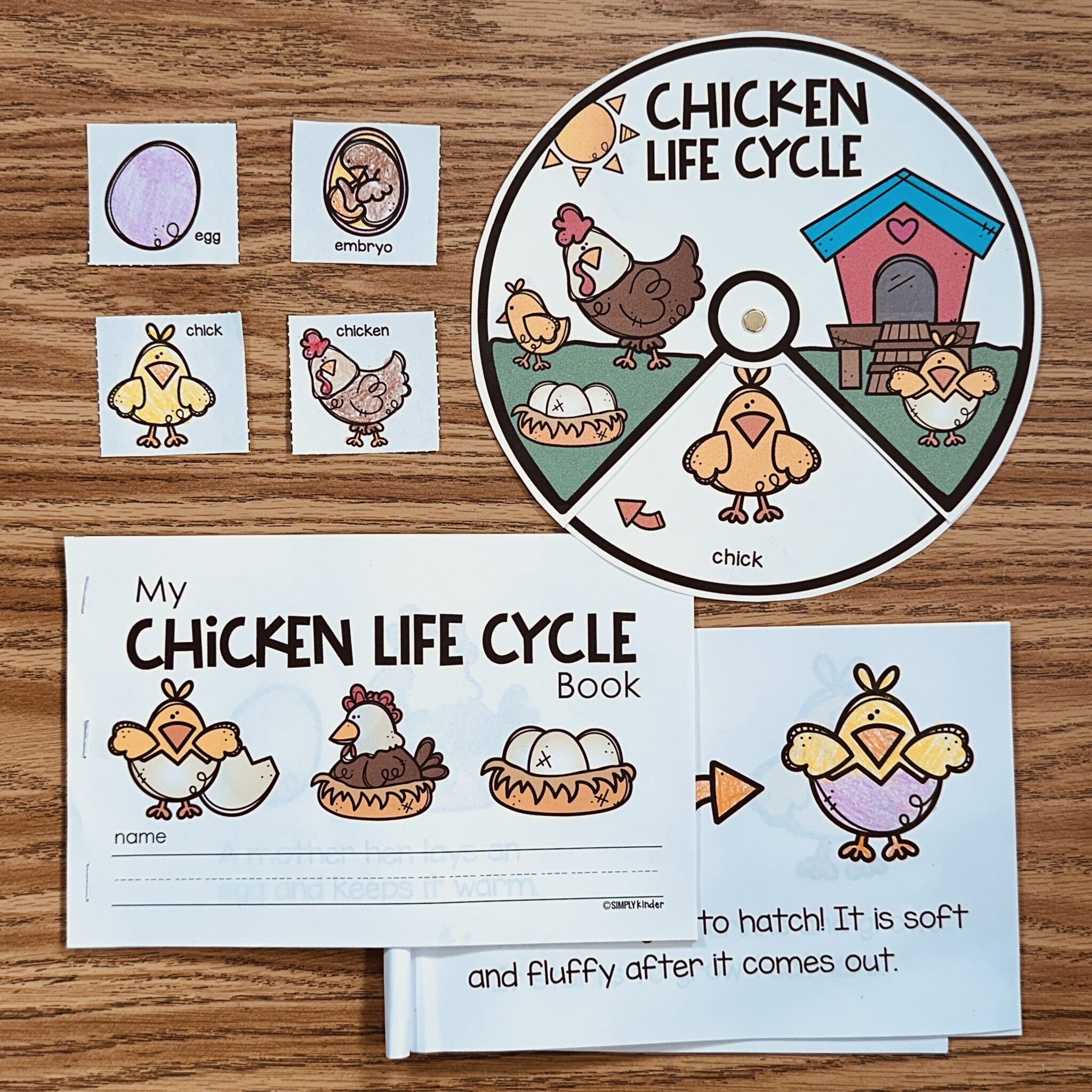 Chicken Life Cycle Activities - Simply Kinder + Printable Membership